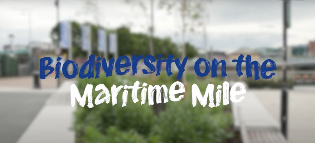 Greening the Maritime Mile | Maritime Mile